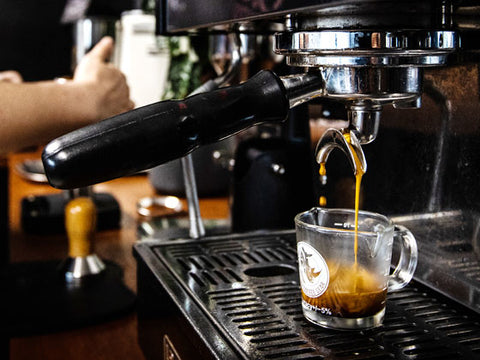Christchurch Coffee Roasters | Coffee Wholesalers | Switch Espresso